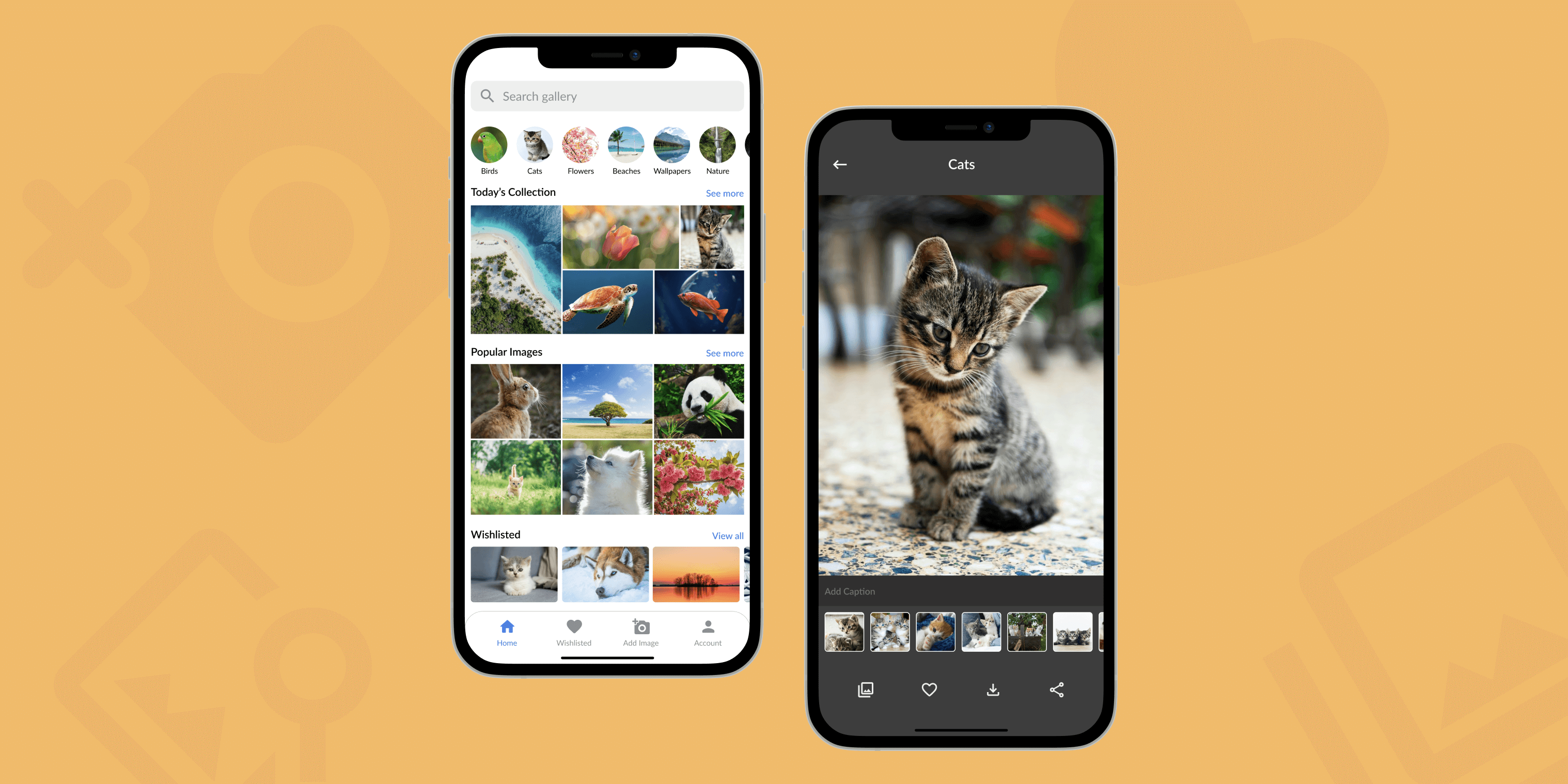 10 Figma templates cho web và di động miễn phí - Complete JavaScript
